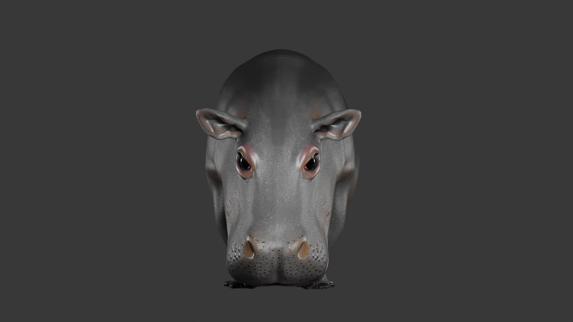 3D Model Hippopotamus Rigged And Animated - TurboSquid 2307640