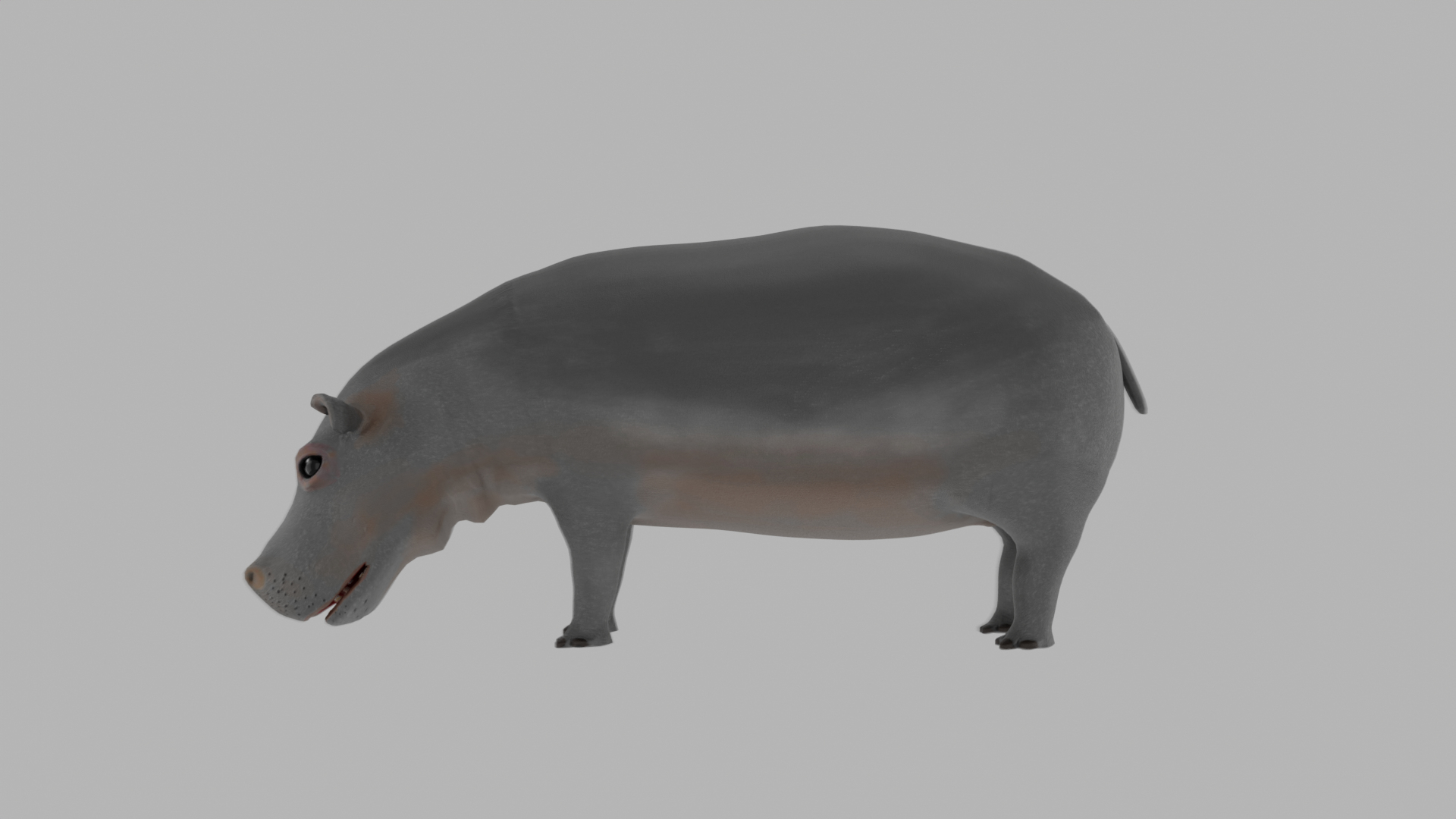 3D Model Hippopotamus Rigged And Animated - TurboSquid 2307640