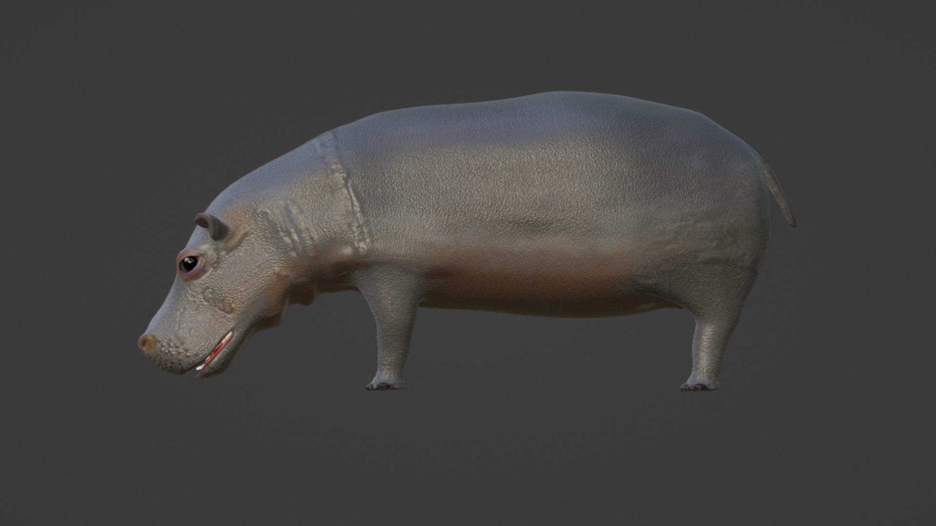 3D Model Hippopotamus Rigged And Animated - TurboSquid 2307640