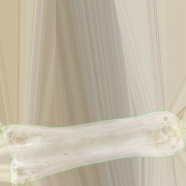 3D Domestic Cat Metacarpal Phalanx Bone 01 model - TurboSquid 1971355