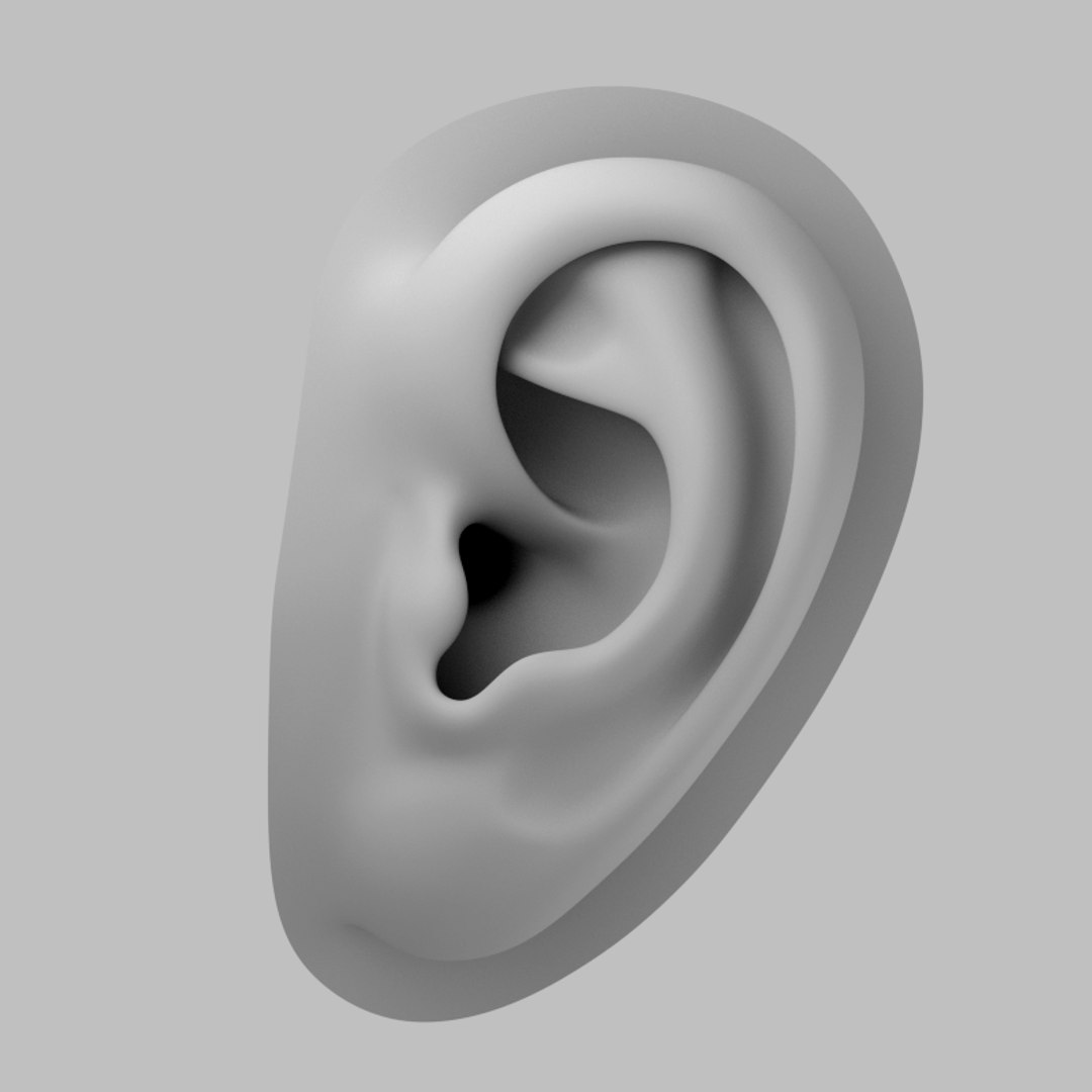 3d blend human ear