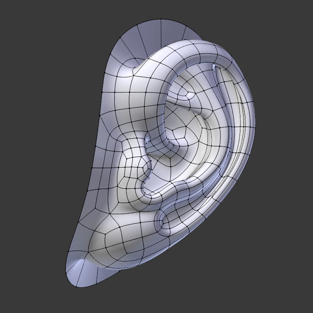 3d blend human ear