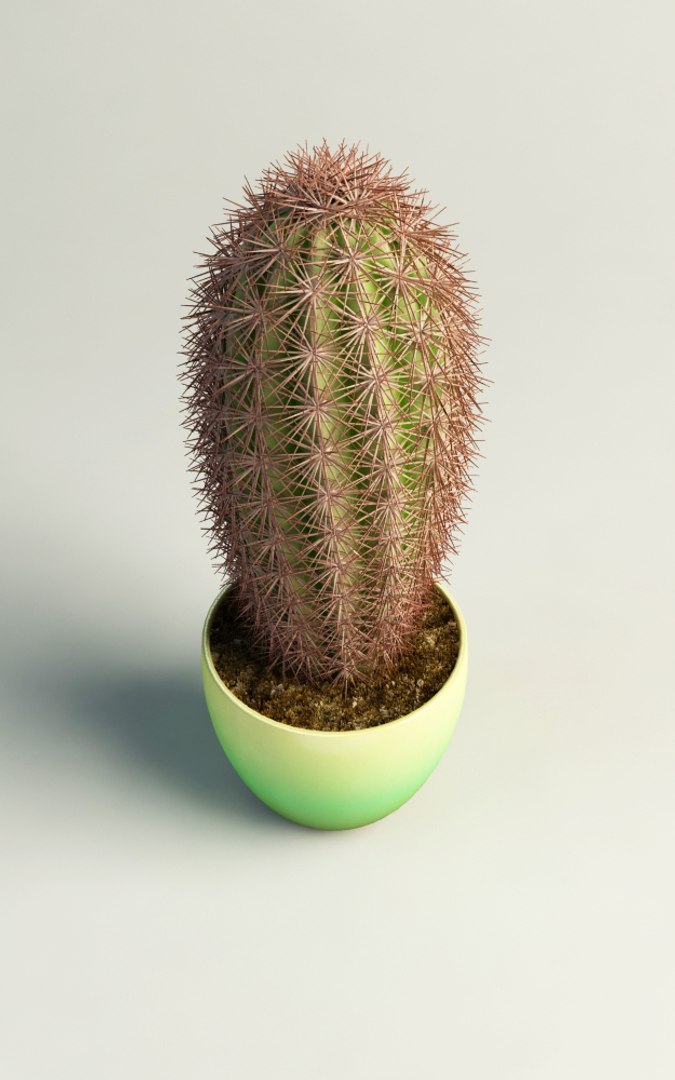 Flowering Cactus 3d Model