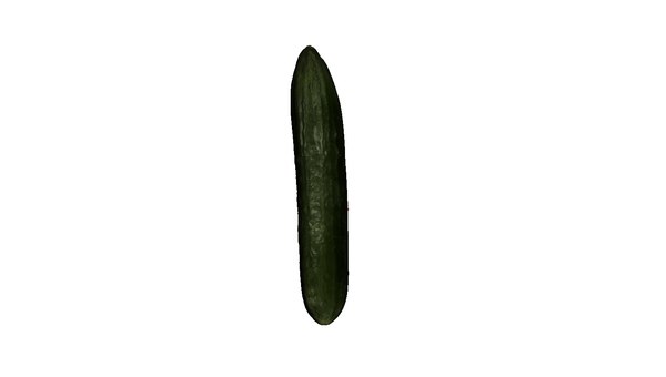 3d model cucumber printing