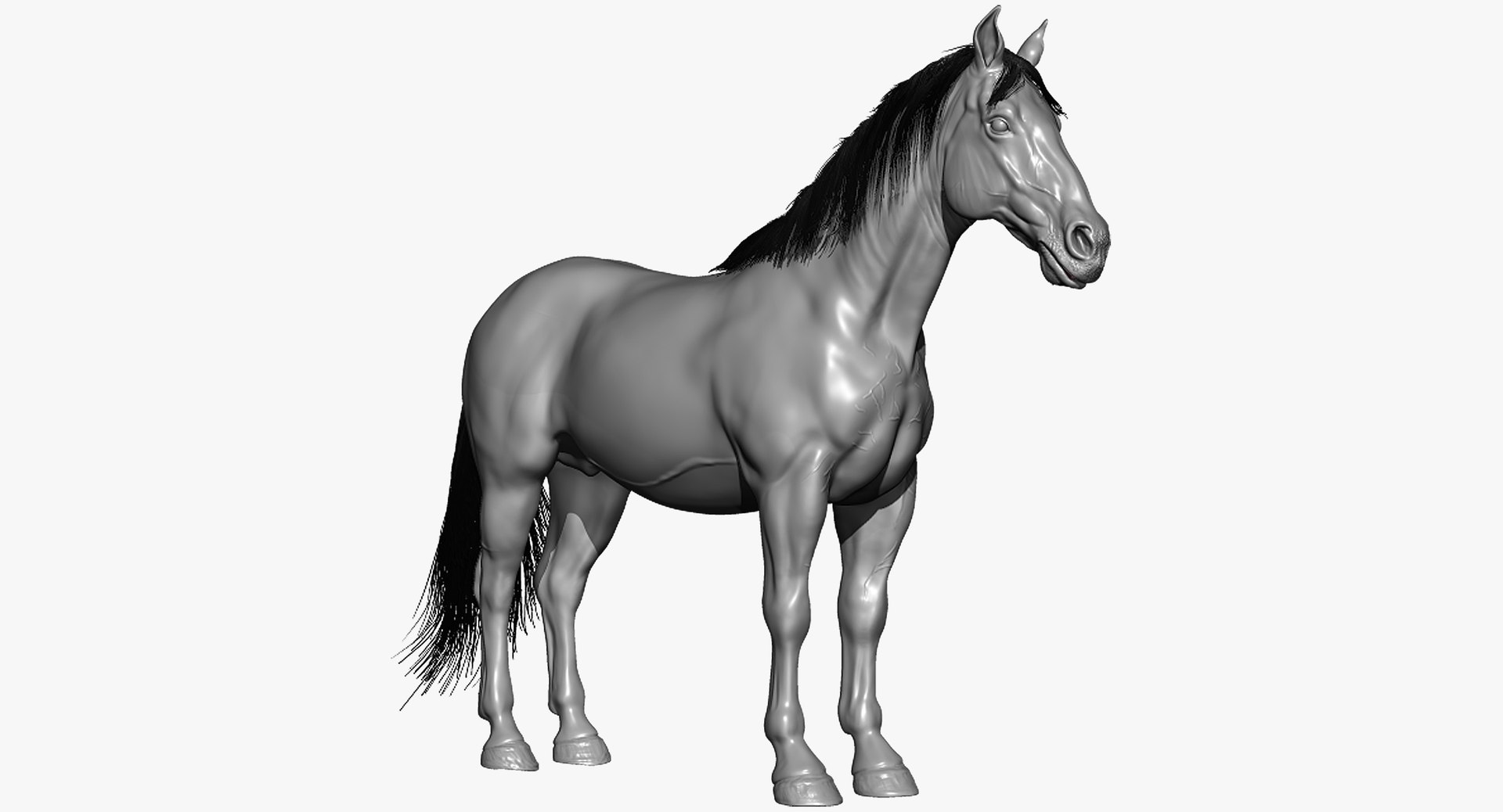 3d Model Horse Realistic Modeled