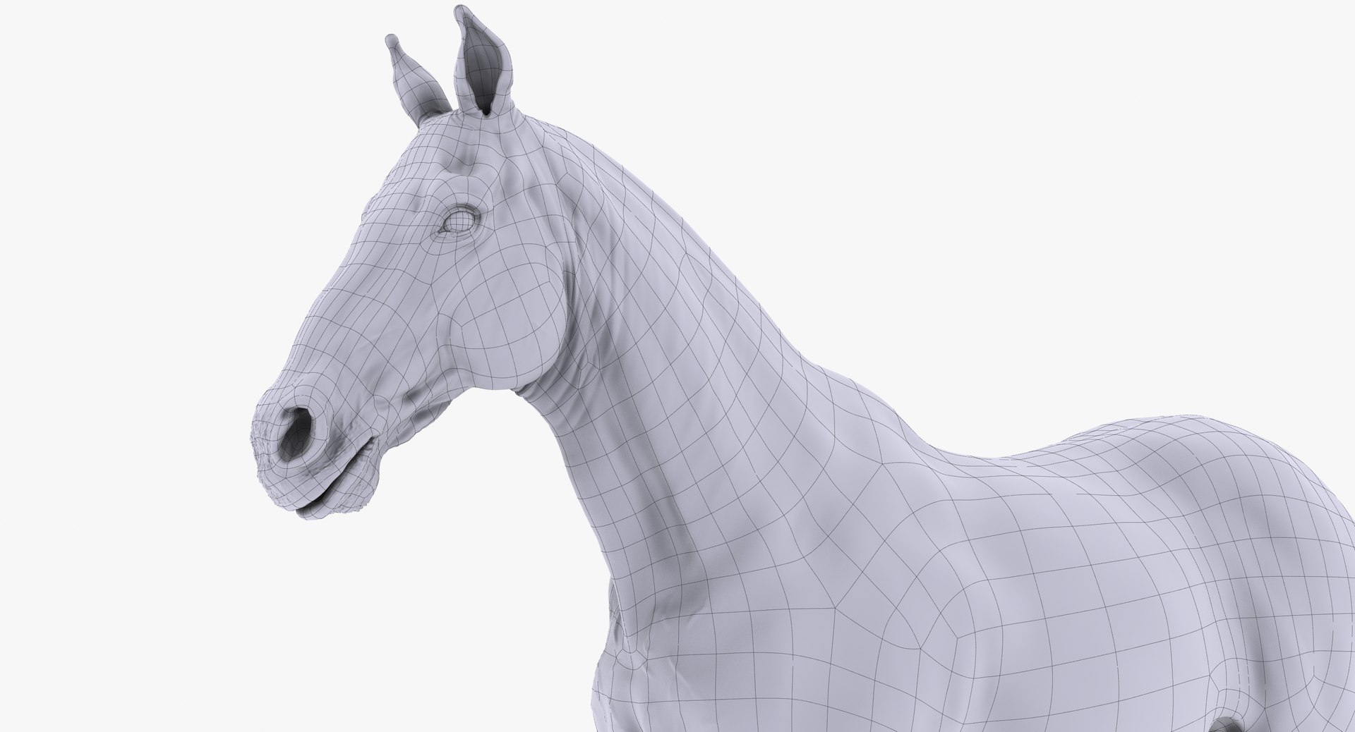 3d Model Horse Realistic Modeled