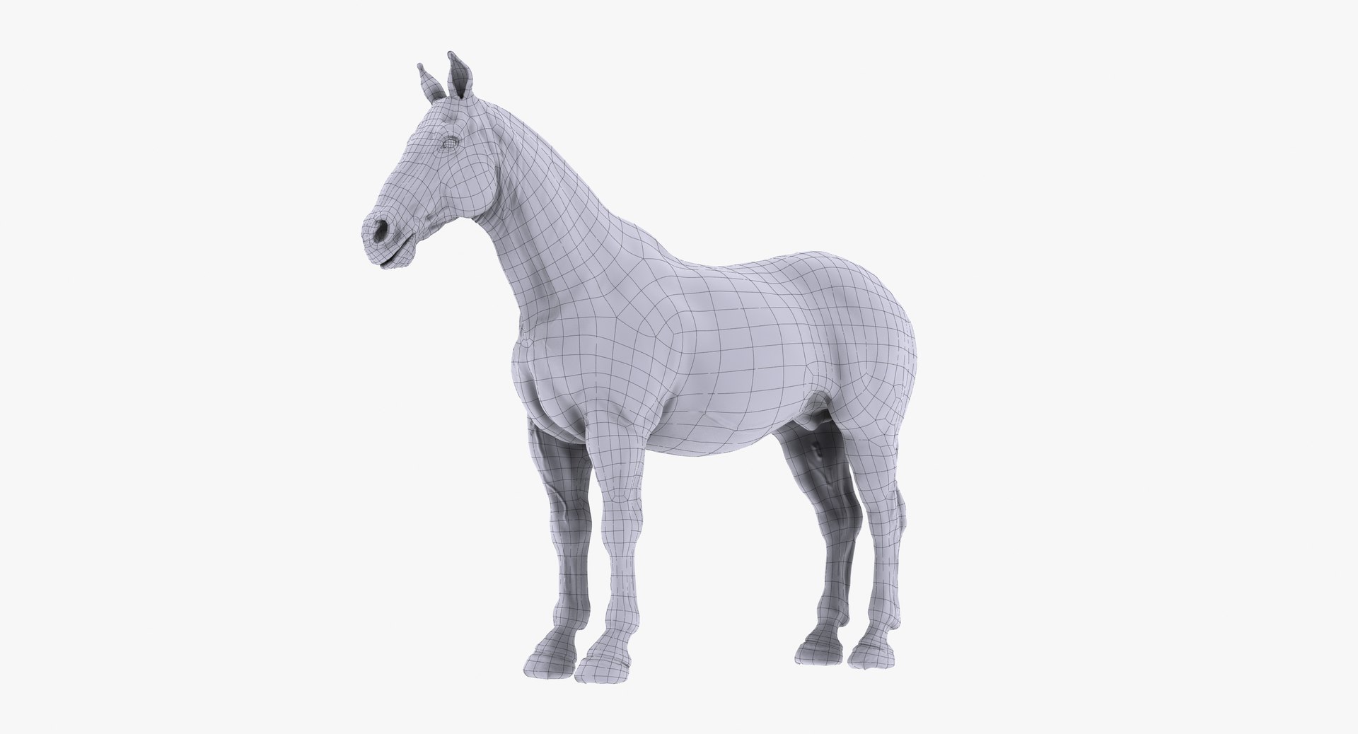 3d Model Horse Realistic Modeled
