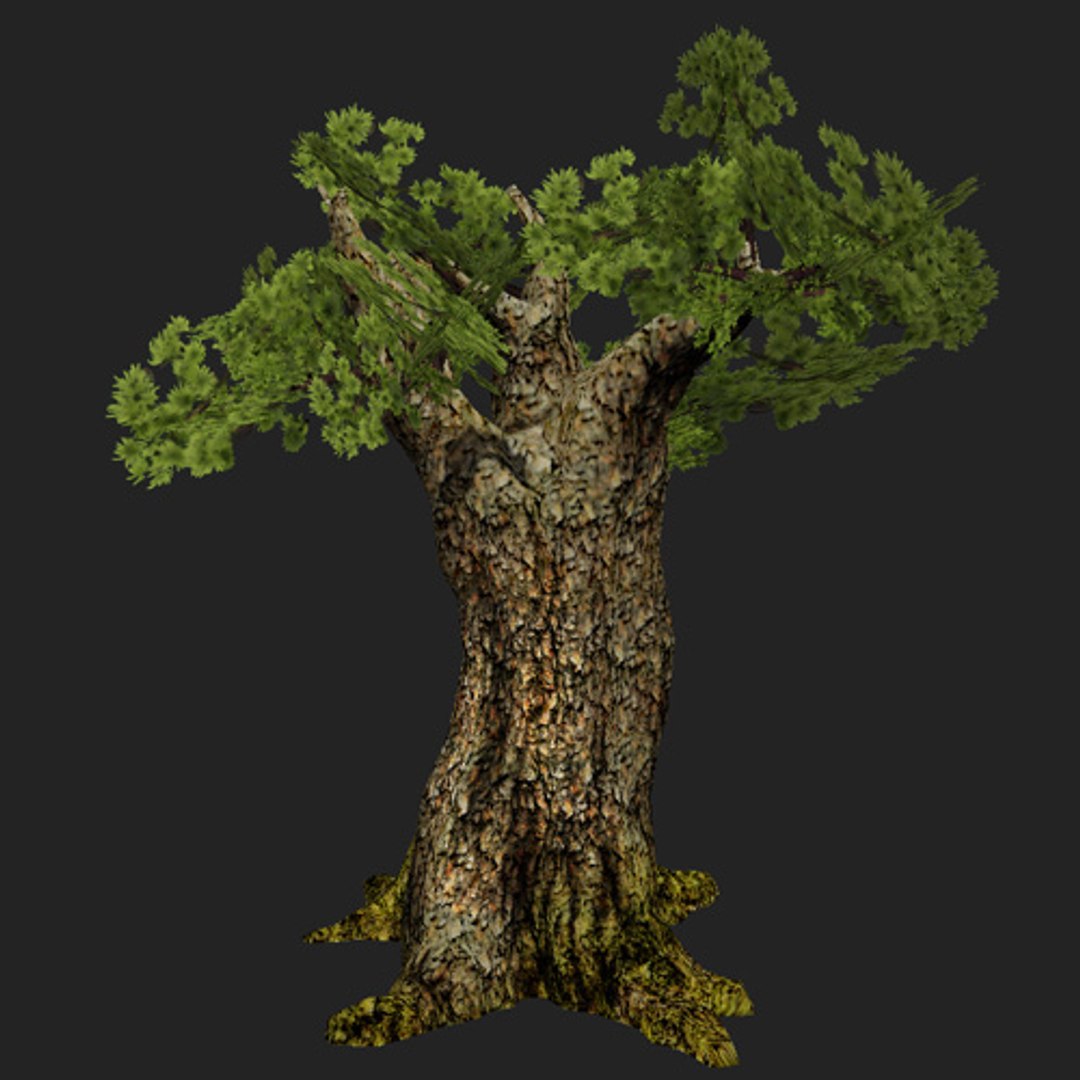 obj aged tree cartoon