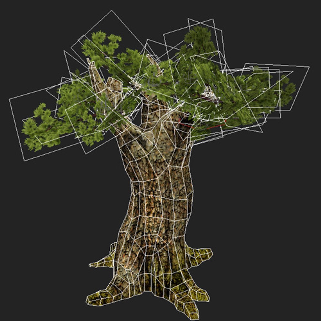 obj aged tree cartoon