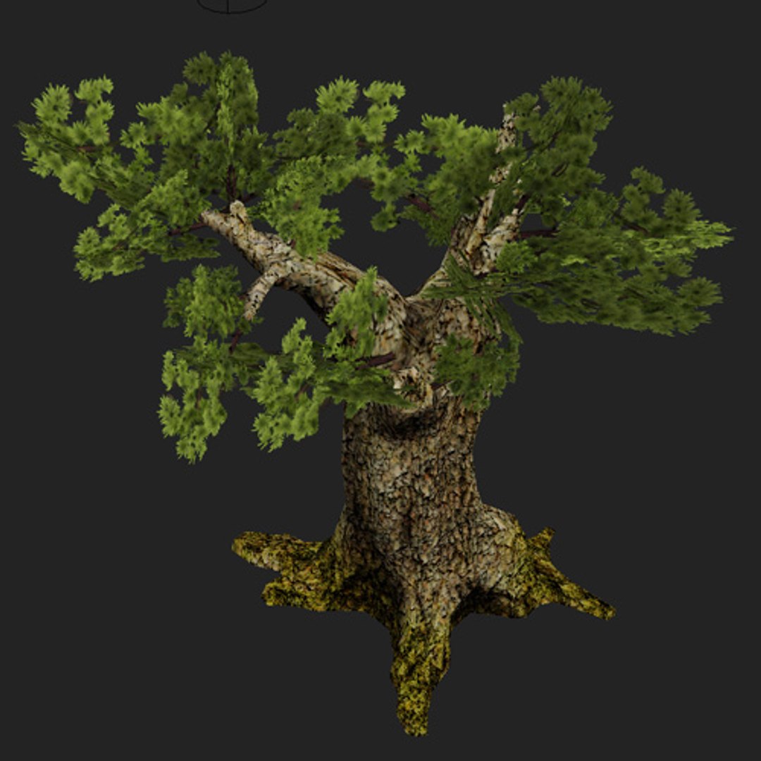 obj aged tree cartoon