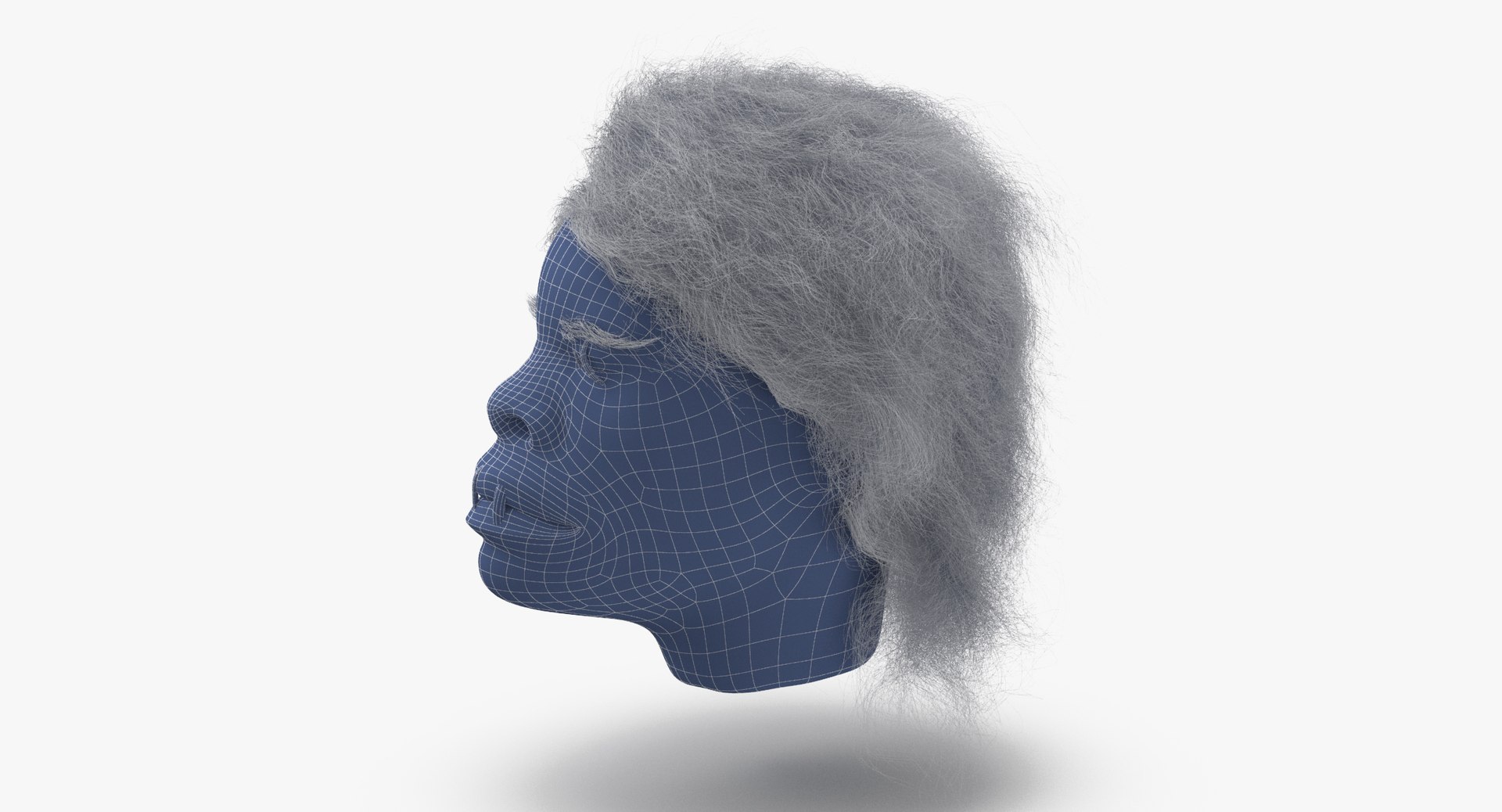 3d Shrunken Head 02
