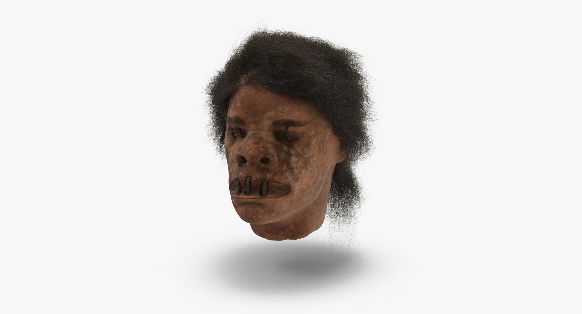 3d Shrunken Head 02