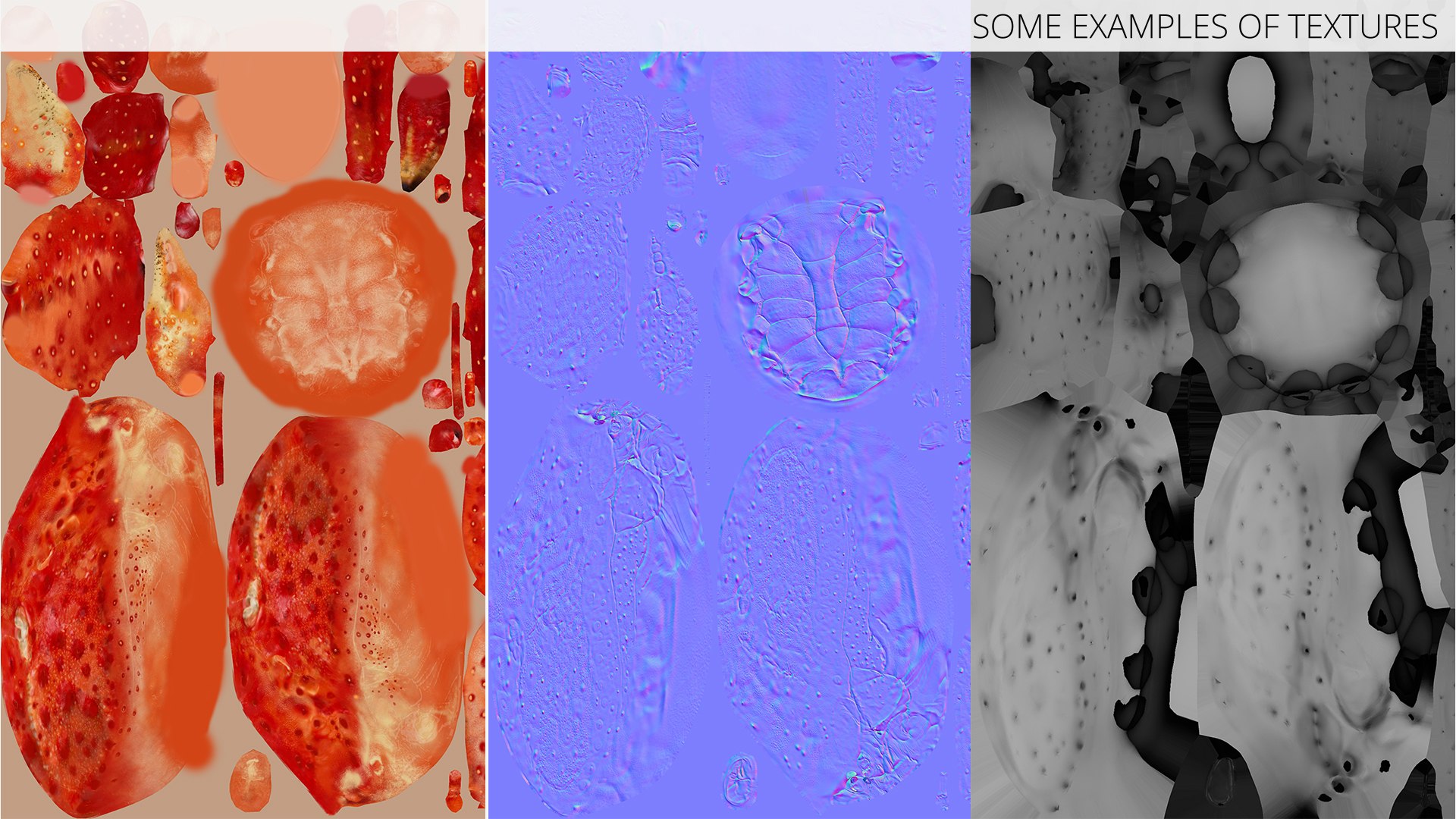 Alaskan King Crab Eating Animated Rigged For Blender 3D Model ...