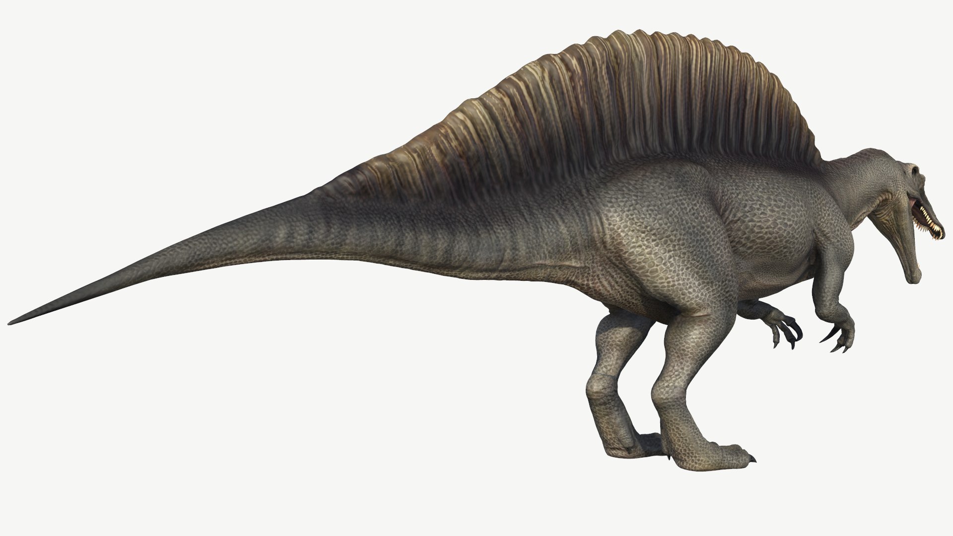3d Model Spinosaurus