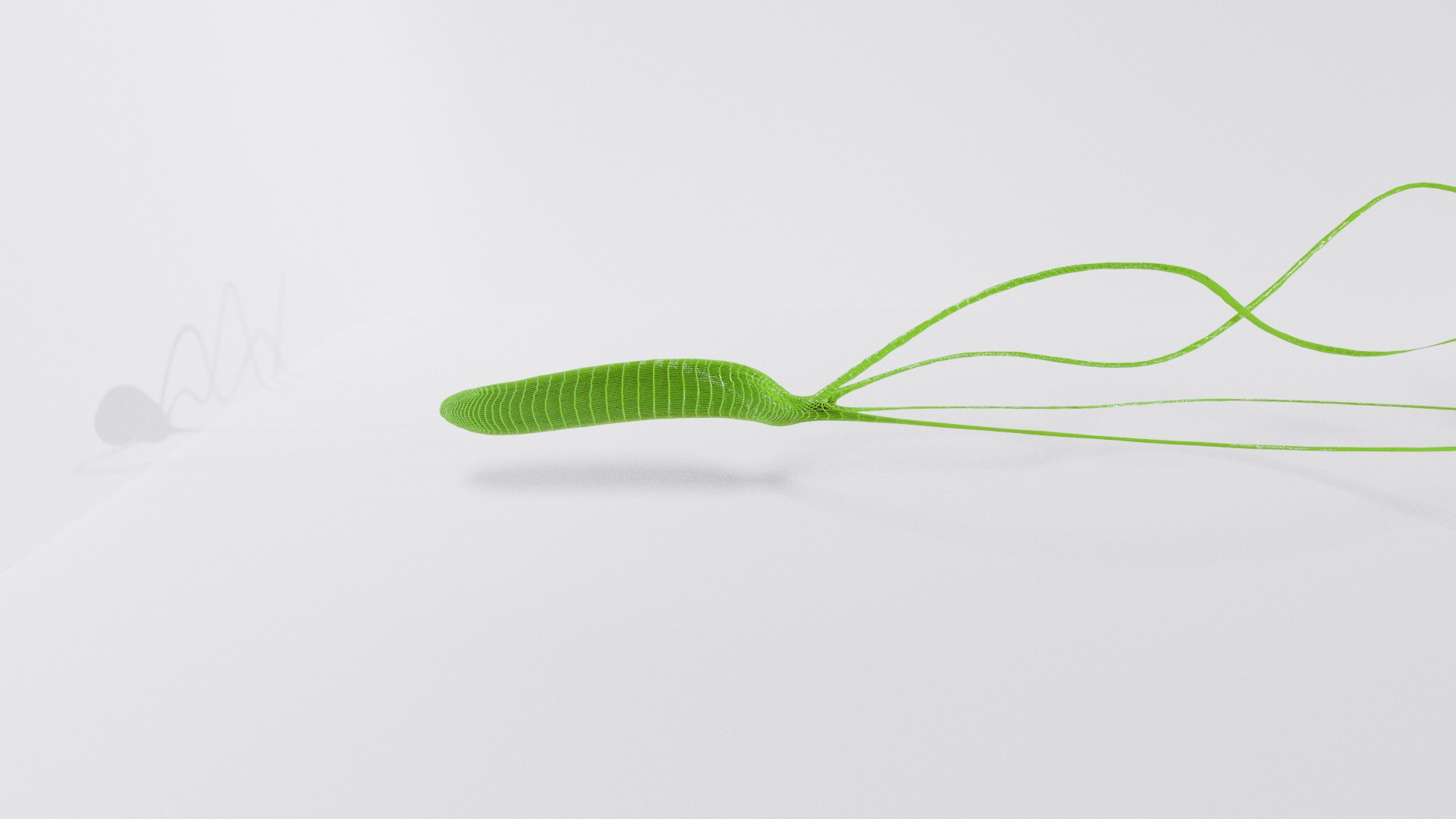 3D Bacteria H Model - TurboSquid 1831978