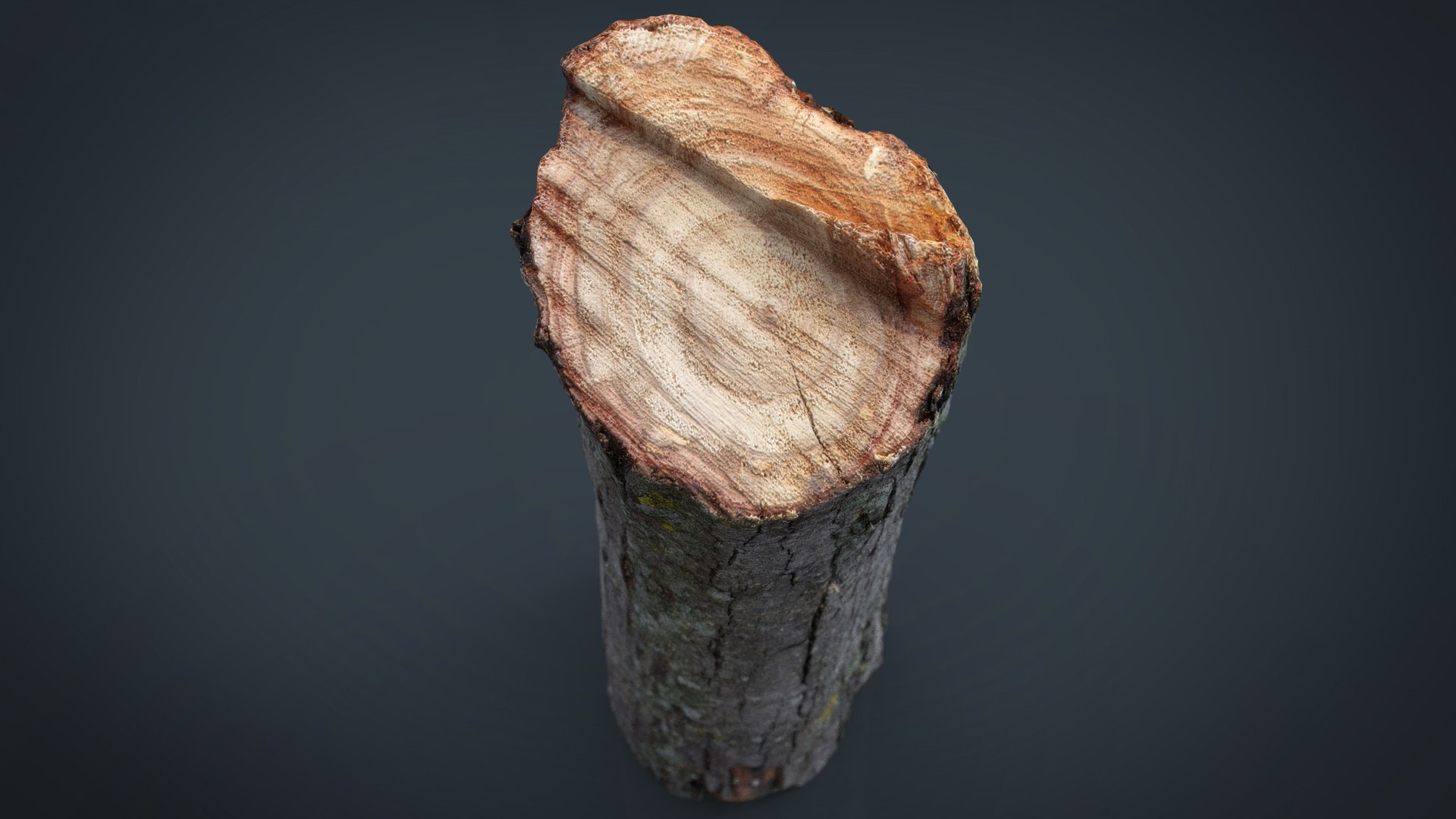 realistic wood log x