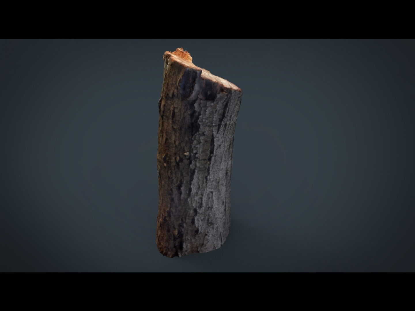 realistic wood log x