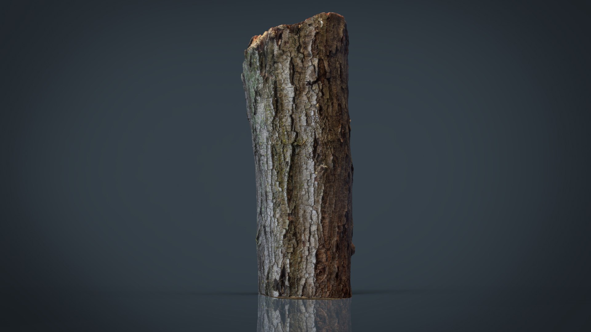 realistic wood log x