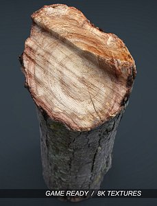X Realistic Wood Log