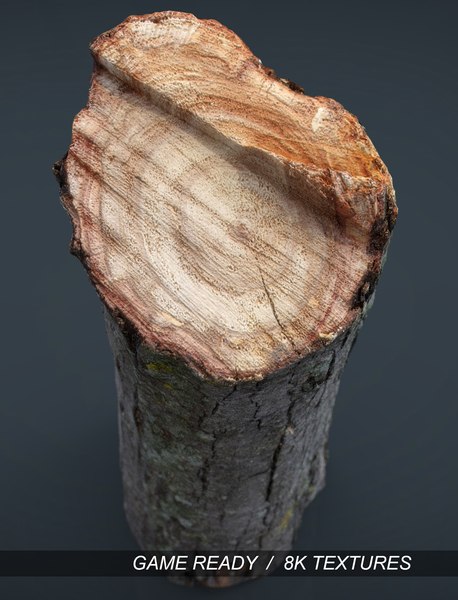 3D realistic wooden logs model - TurboSquid 1161245