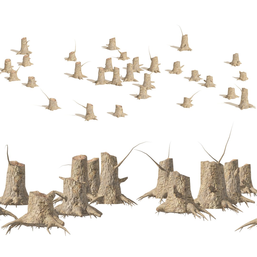 Stump Tree Field 3D Model - TurboSquid 1991862