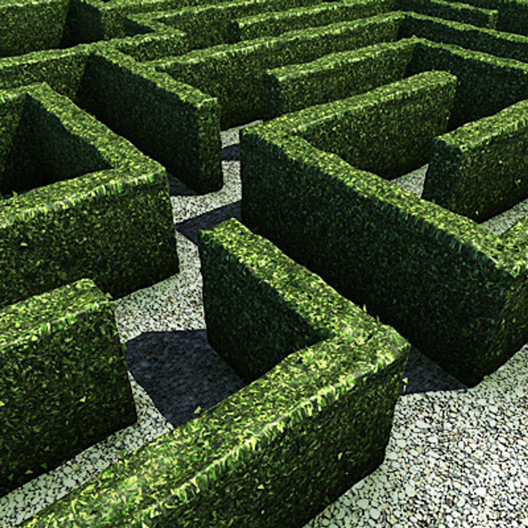Obj Maze Hedges