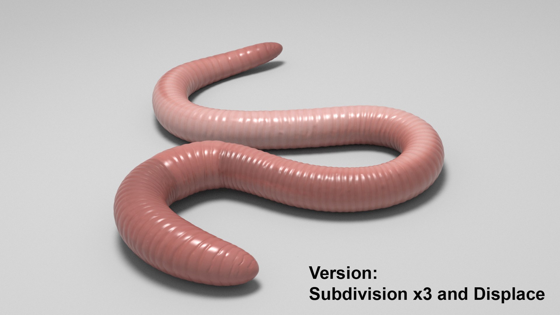 Earthworm 3D Model - TurboSquid 1986743