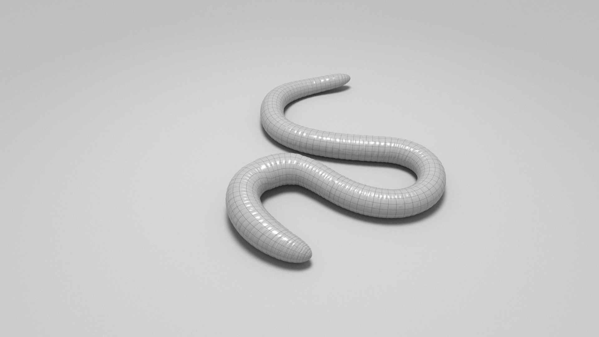 Earthworm 3D Model - TurboSquid 1986743