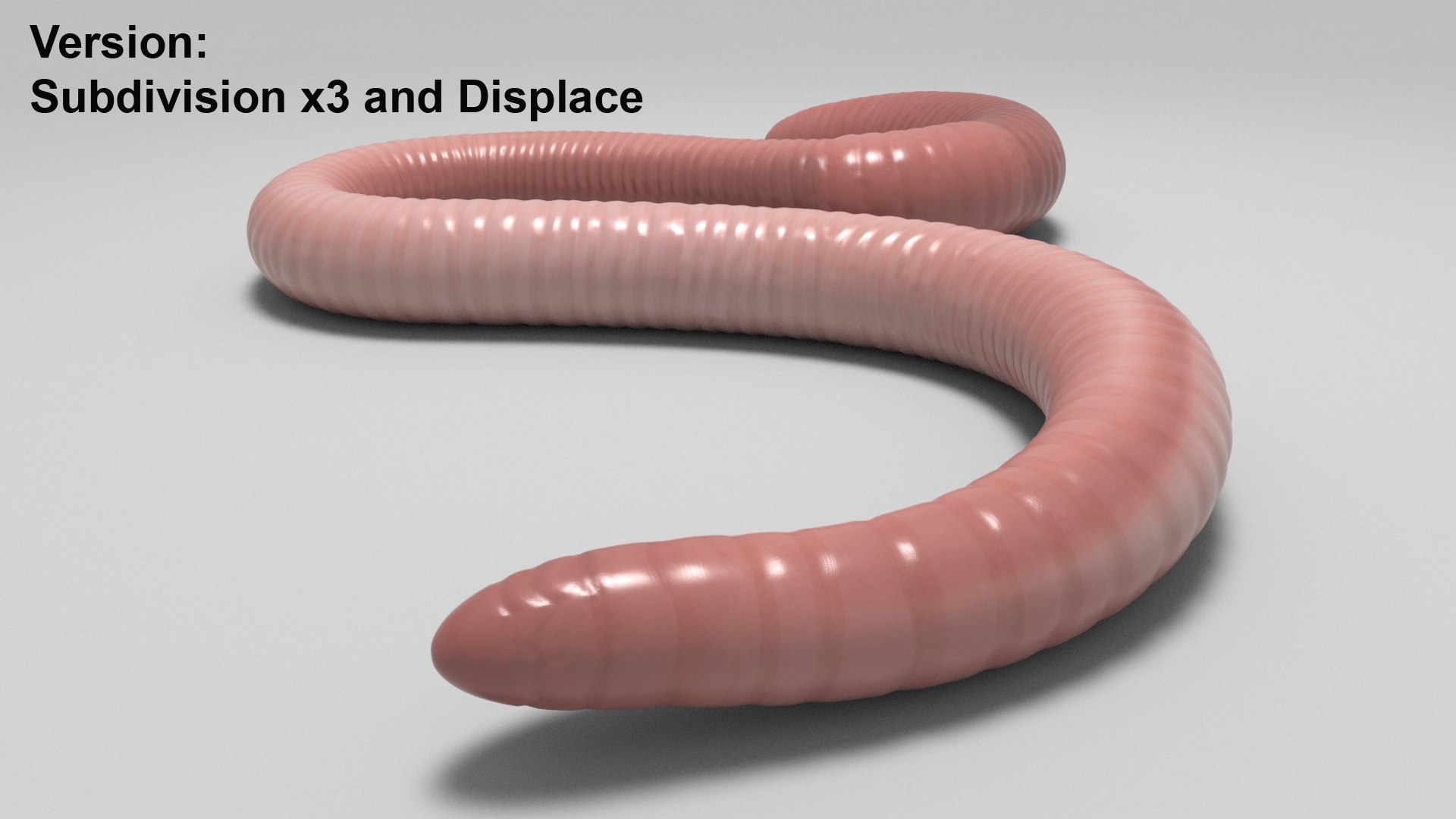 Earthworm 3D Model - TurboSquid 1986743