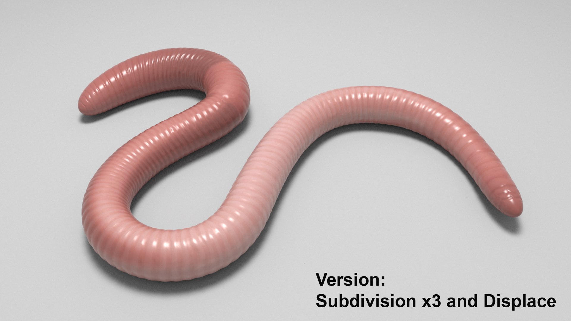 Earthworm 3D Model - TurboSquid 1986743