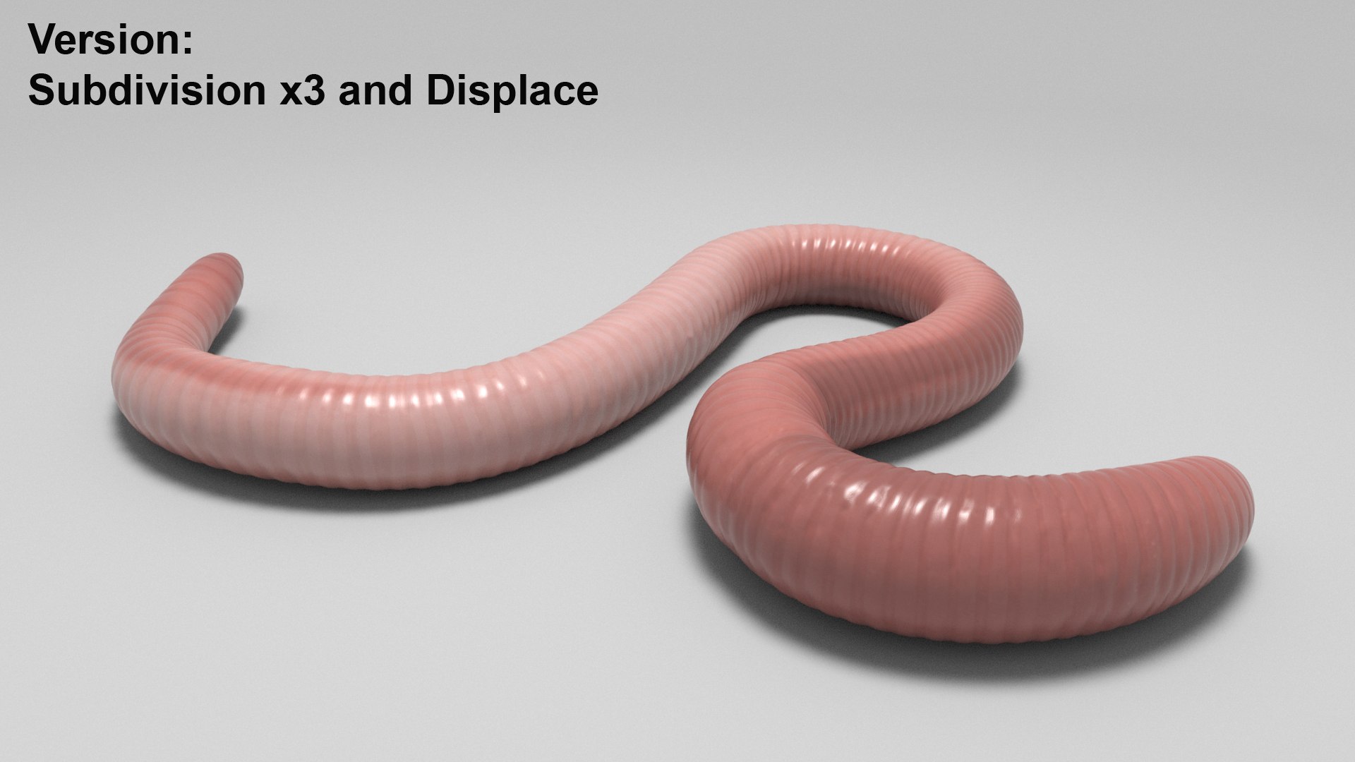 Earthworm 3D Model - TurboSquid 1986743