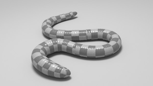 Earthworm 3D model - TurboSquid 1986743