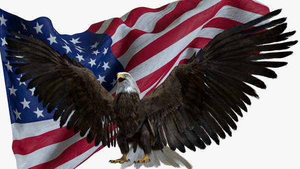 American Eagle Fur Anatomy Modelo 3D - TurboSquid 1521634