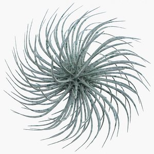 Max Micro Object Mht