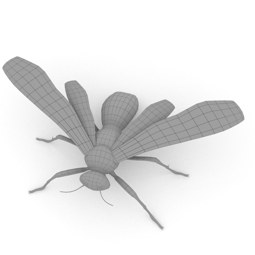 Insect Nature Animal 3D Model - TurboSquid 1335139