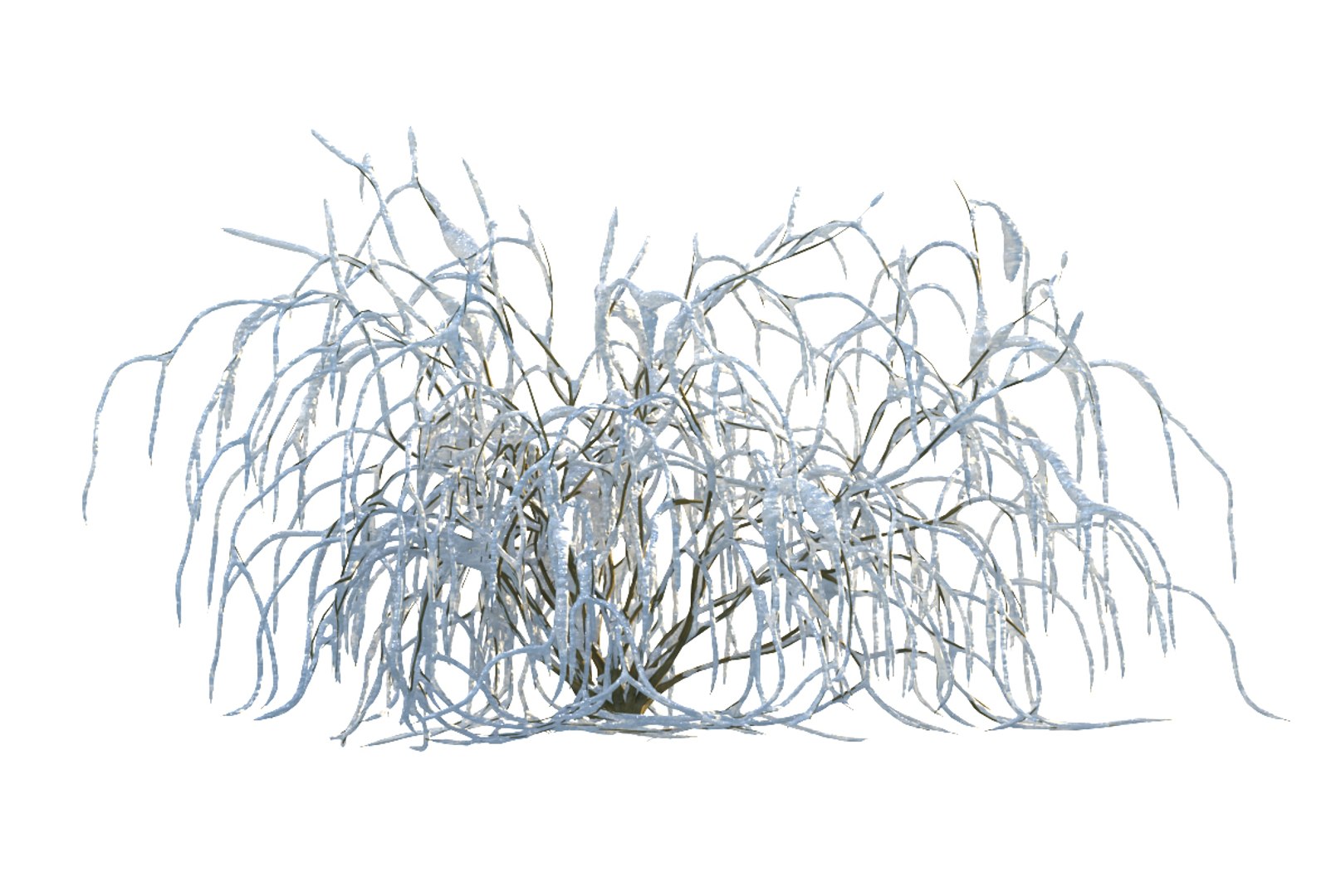 Winter Forest Mega Pack Max