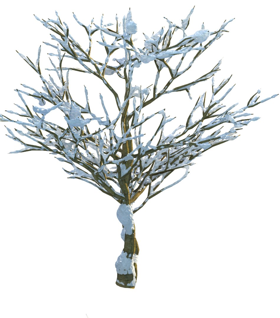 Winter Forest Mega Pack Max