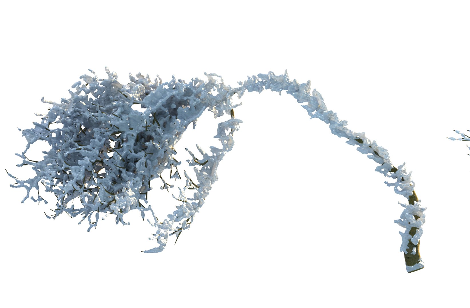 Winter Forest Mega Pack Max