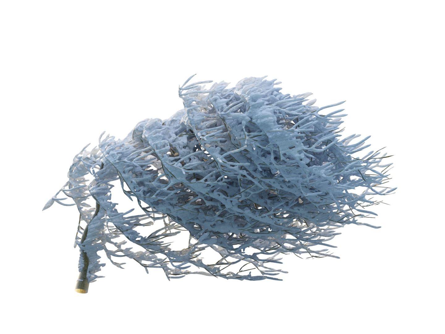 winter forest mega pack max