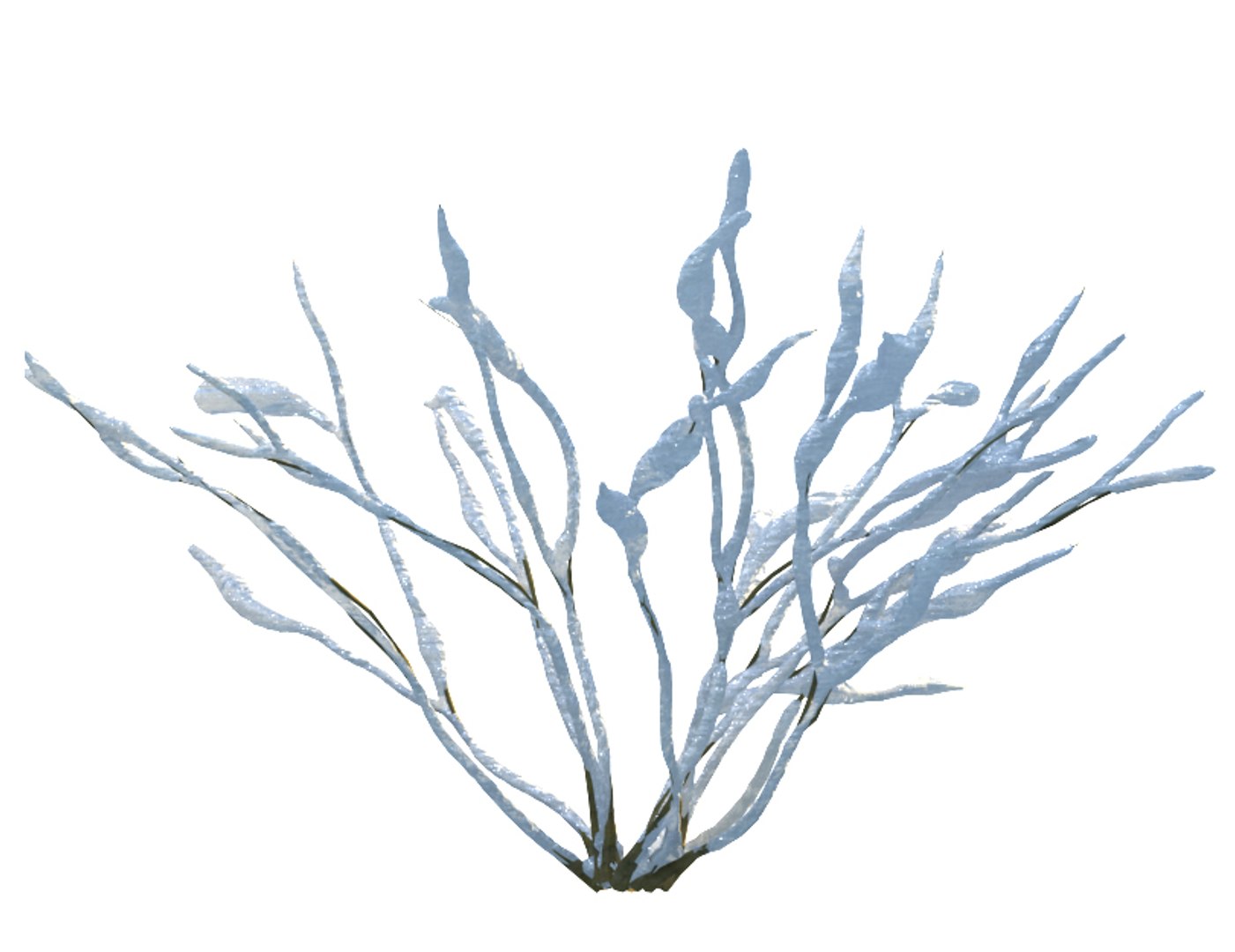 Winter Forest Mega Pack Max