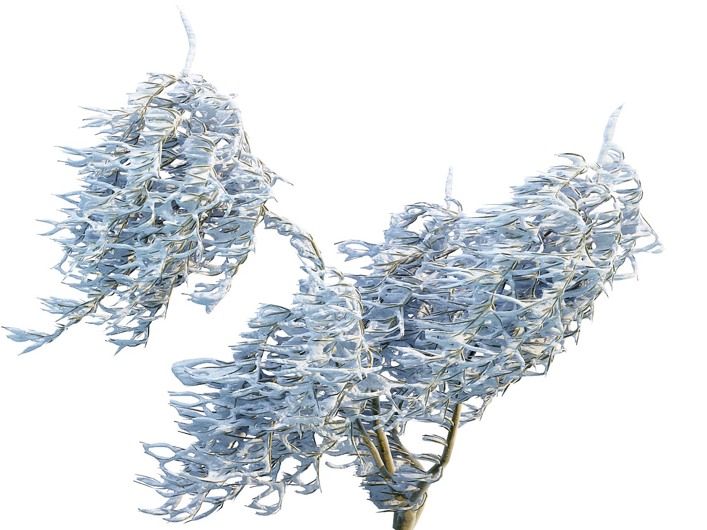 Winter Forest Mega Pack Max