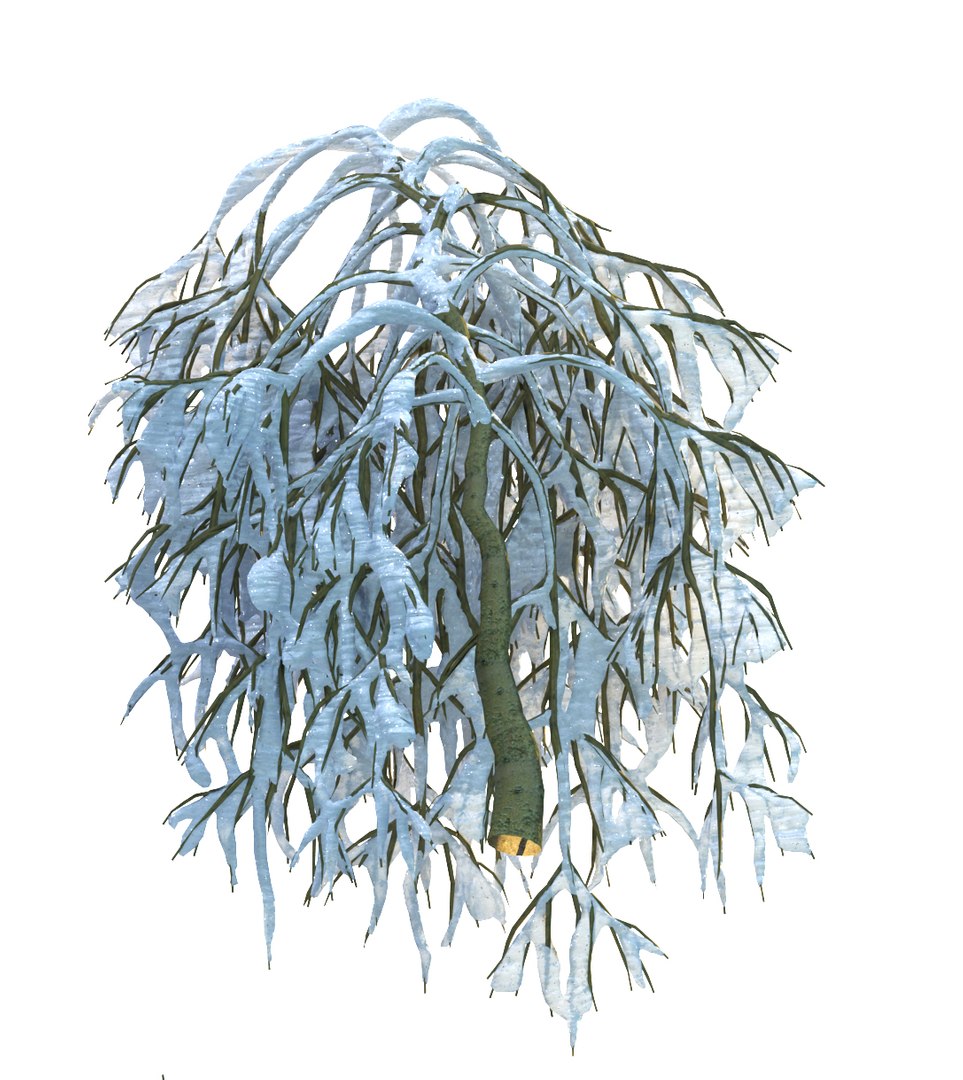 Winter Forest Mega Pack Max