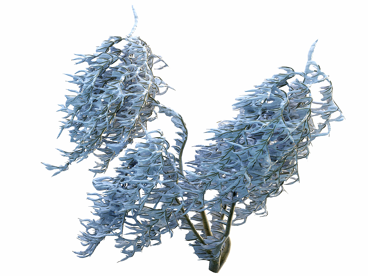 winter forest mega pack max