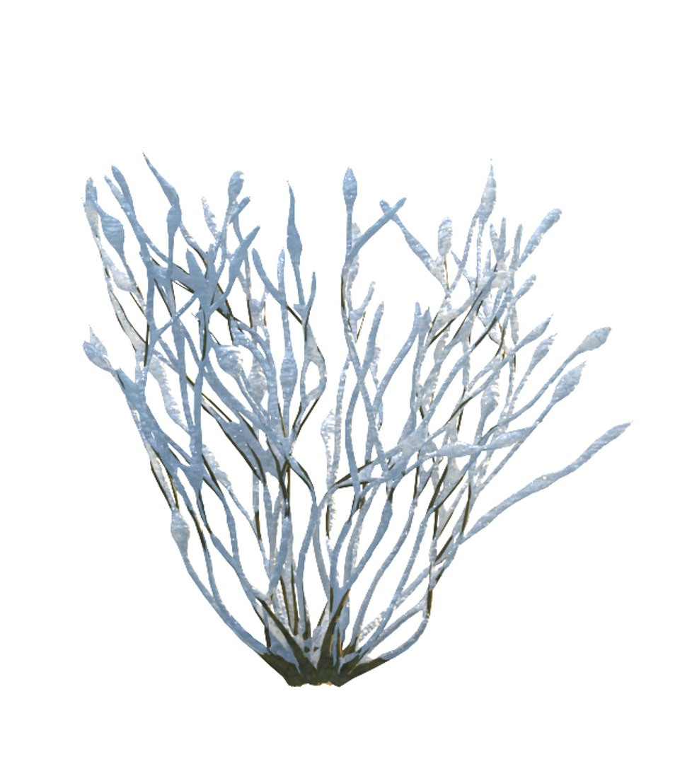 Winter Forest Mega Pack Max