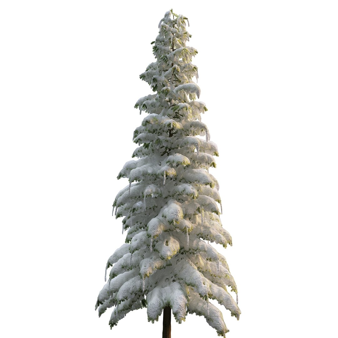 Winter Forest Mega Pack Max