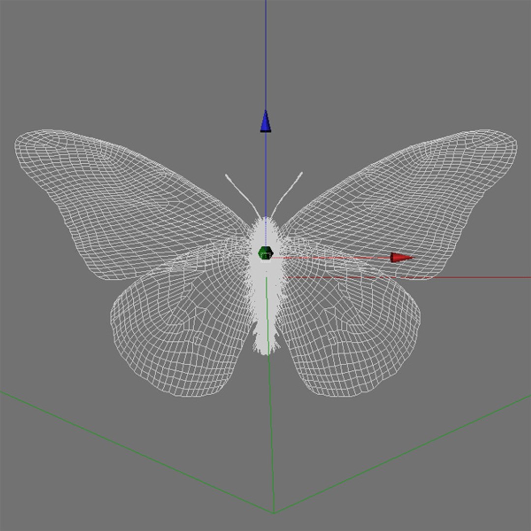 Monarch Butterfly C4d