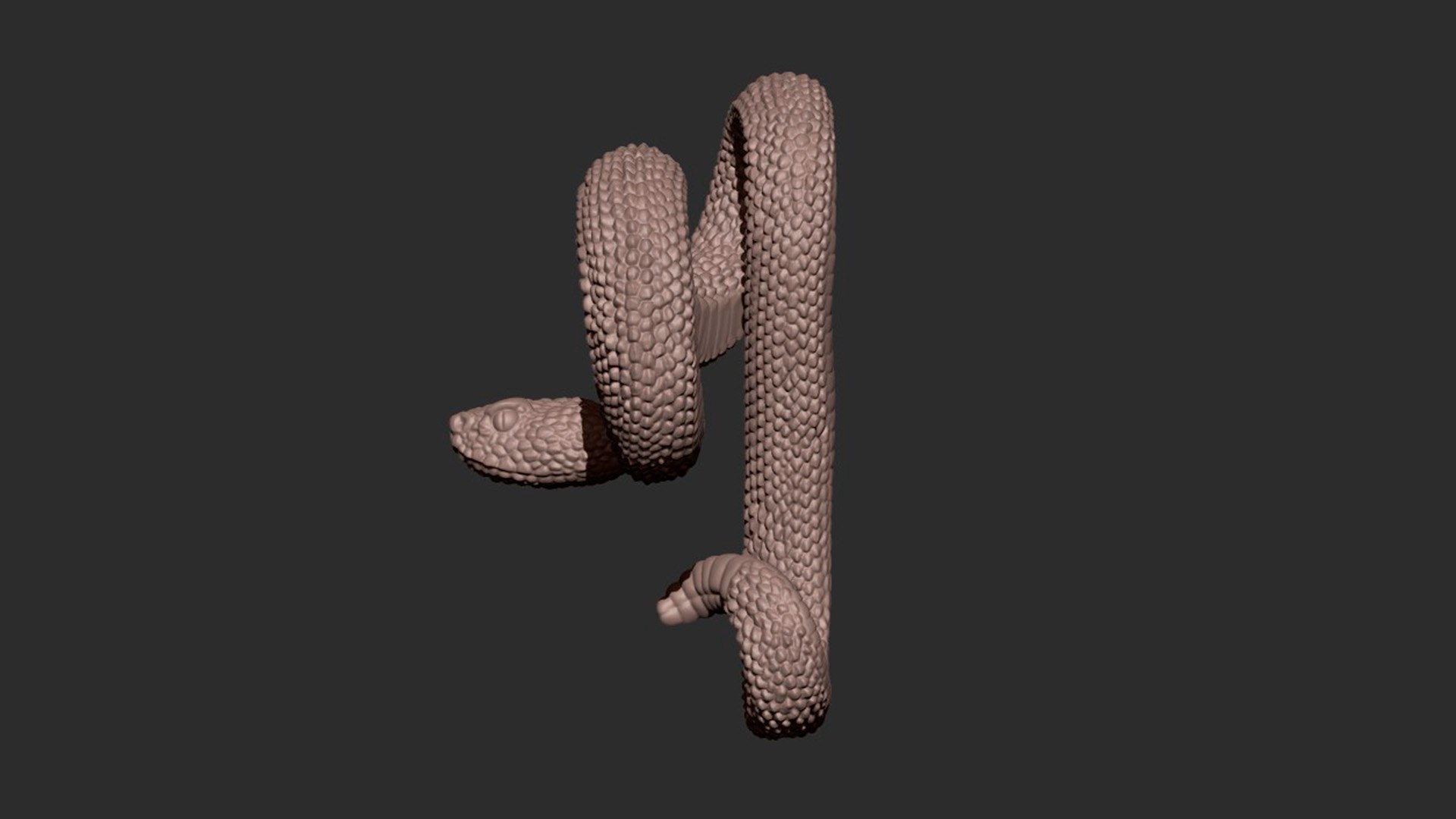 Rattlesnake Model - TurboSquid 2288616