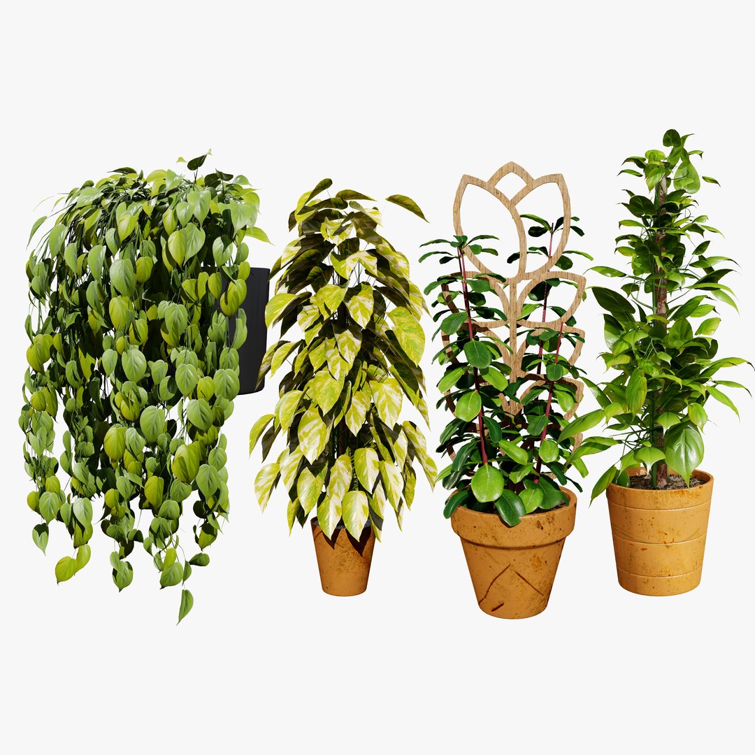 3D Climbing Vines Collection Model - TurboSquid 2272253