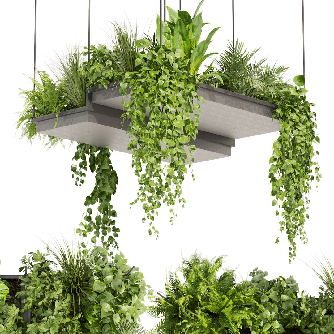 3D Collection Plant Vol 411 - Pothos - Hanging - Ampelous - Palm ...
