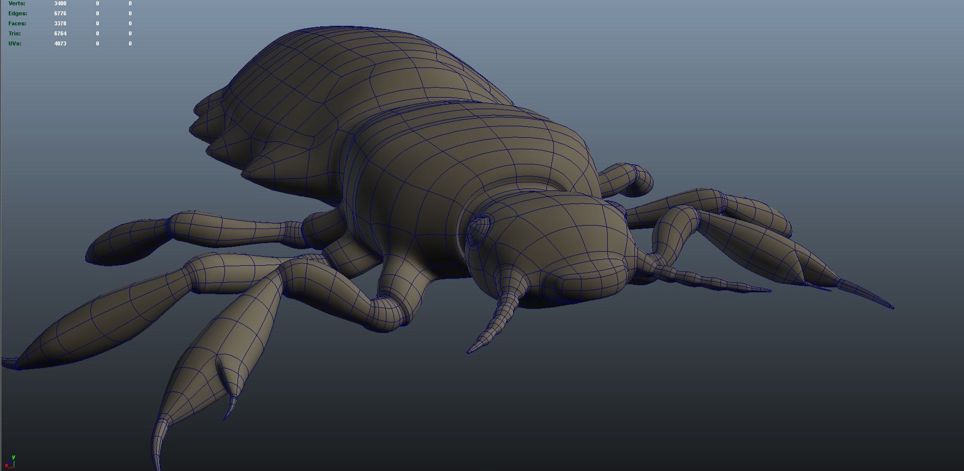 pediculus louse infects 3d model